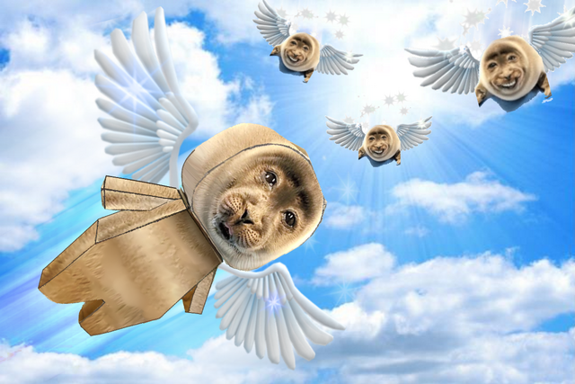 File:PaperNiko AllStarCongrats.png - The Wiki Camp 2