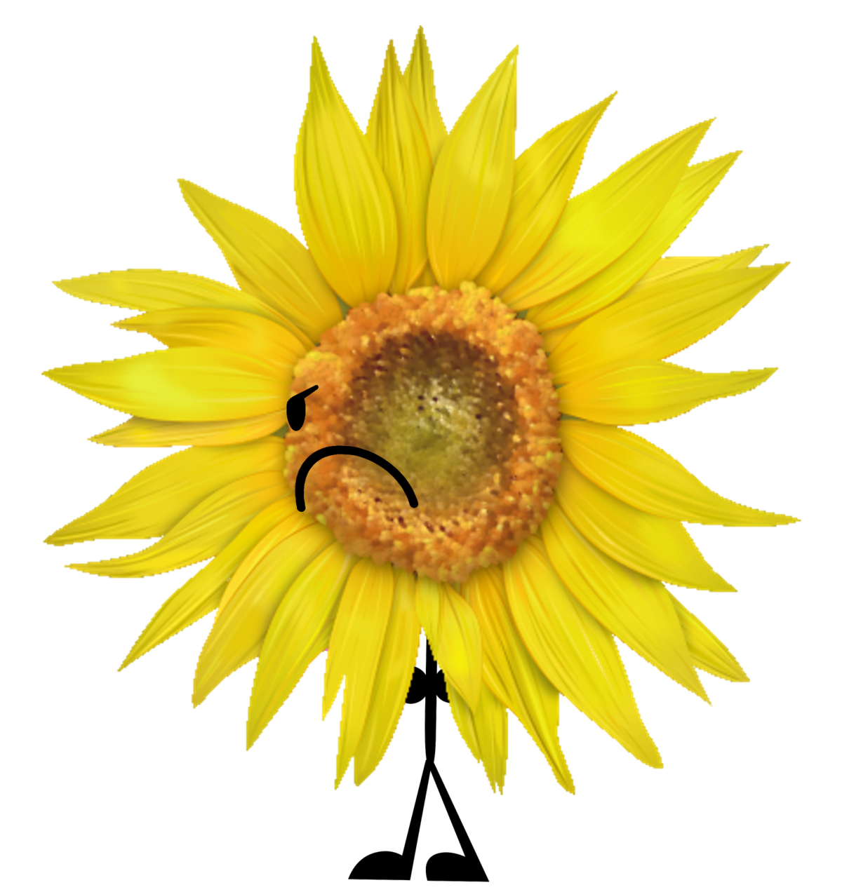 Flower - The Wiki Camp 2