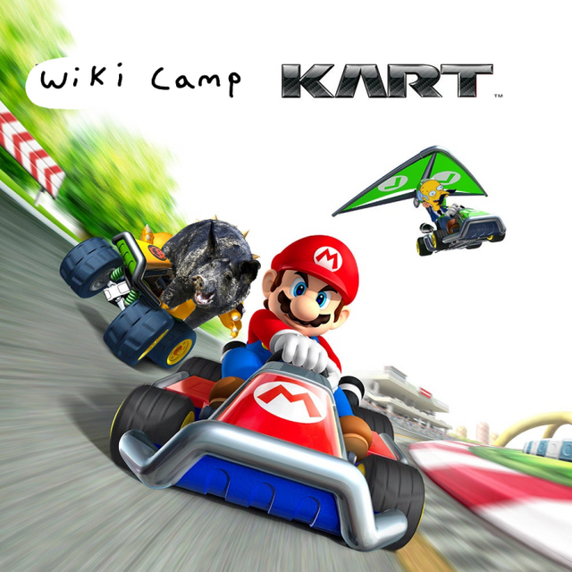 Wiki Camp Kart - The Wiki Camp 2