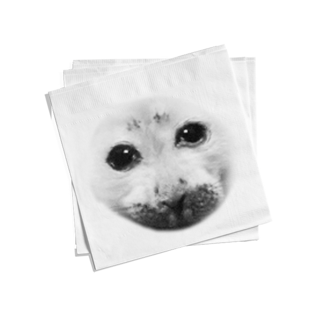 Okin napkin - The Wiki Camp 2